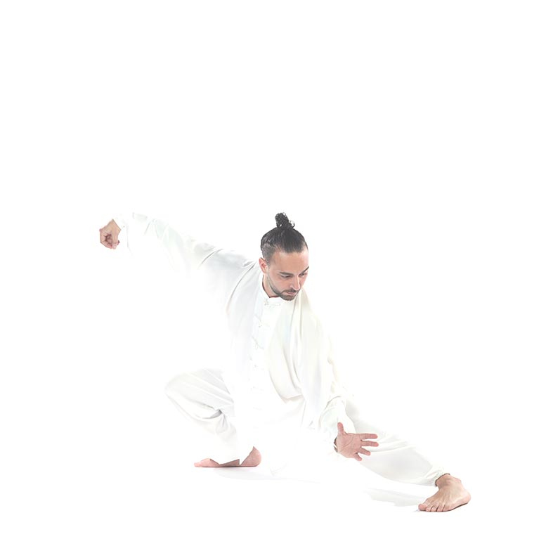 Home - Avedis Seropian