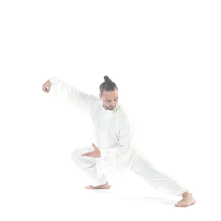 Home - Avedis Seropian