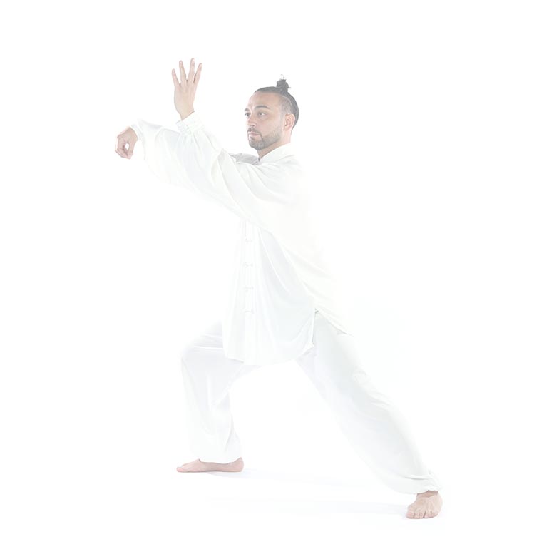 Home - Avedis Seropian